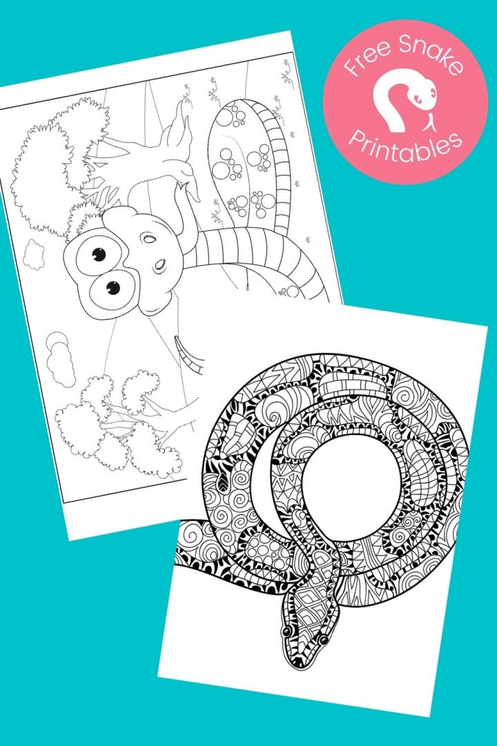 Free Printable Snake Coloring Pages - Crafts Kids Love