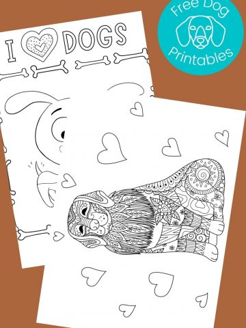 Free Printable Bird Coloring Pages - Crafts Kids Love