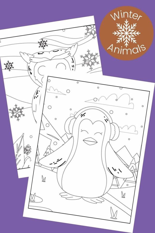 Winter Animal Coloring Pages - Crafts Kids Love